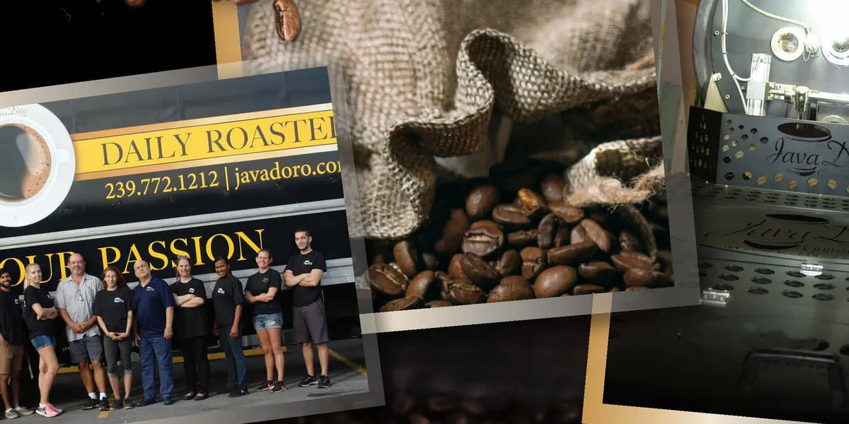 The Java Doro Story — CoffeeTec